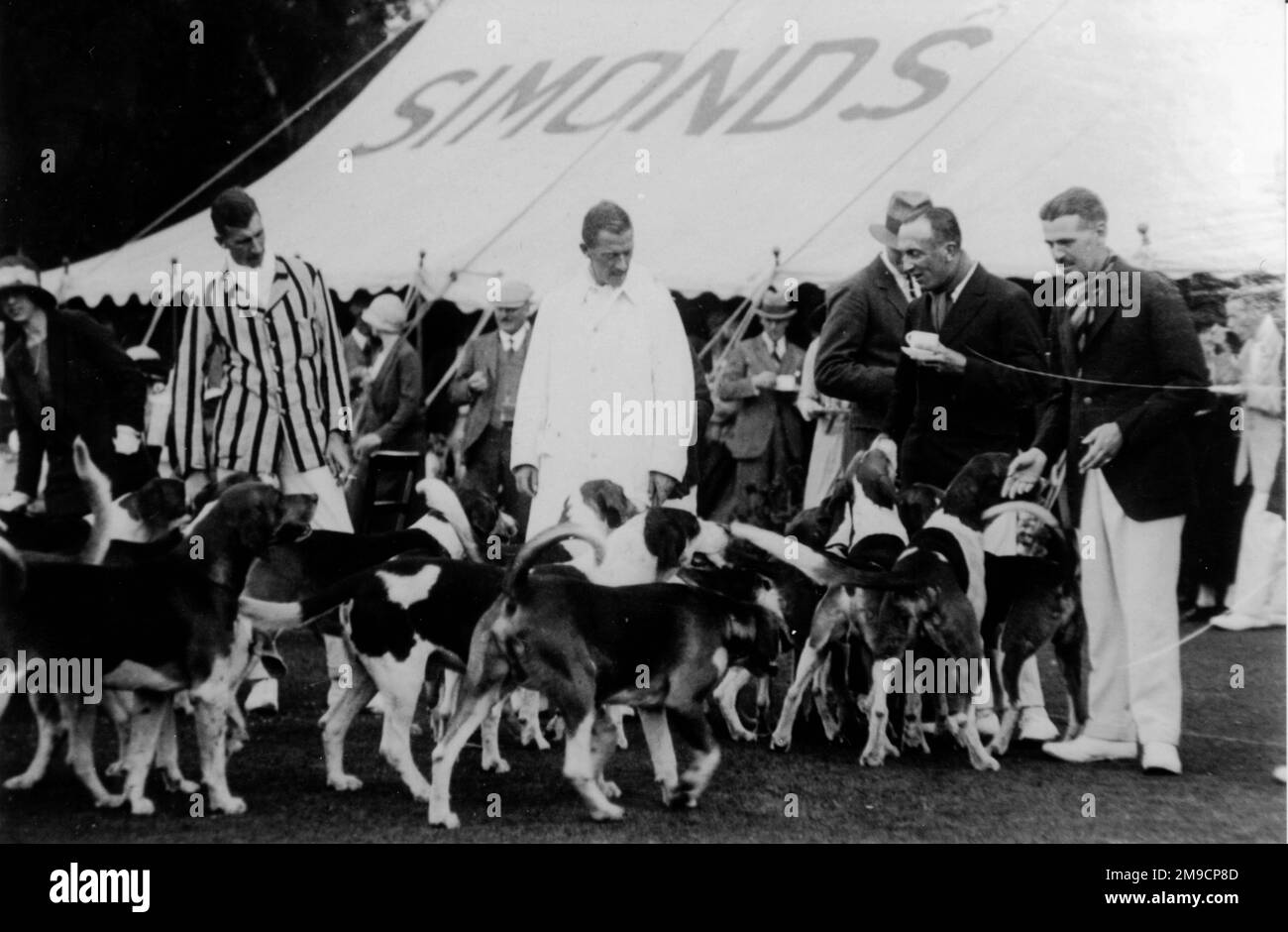 Our pack of hounds Black and White Stock Photos & Images - Alamy