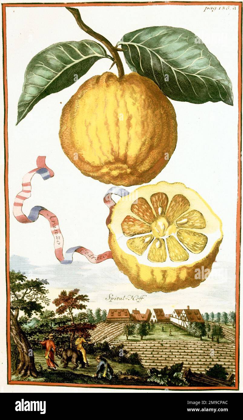 18th century farm engraving hi-res stock photography and images - Alamy