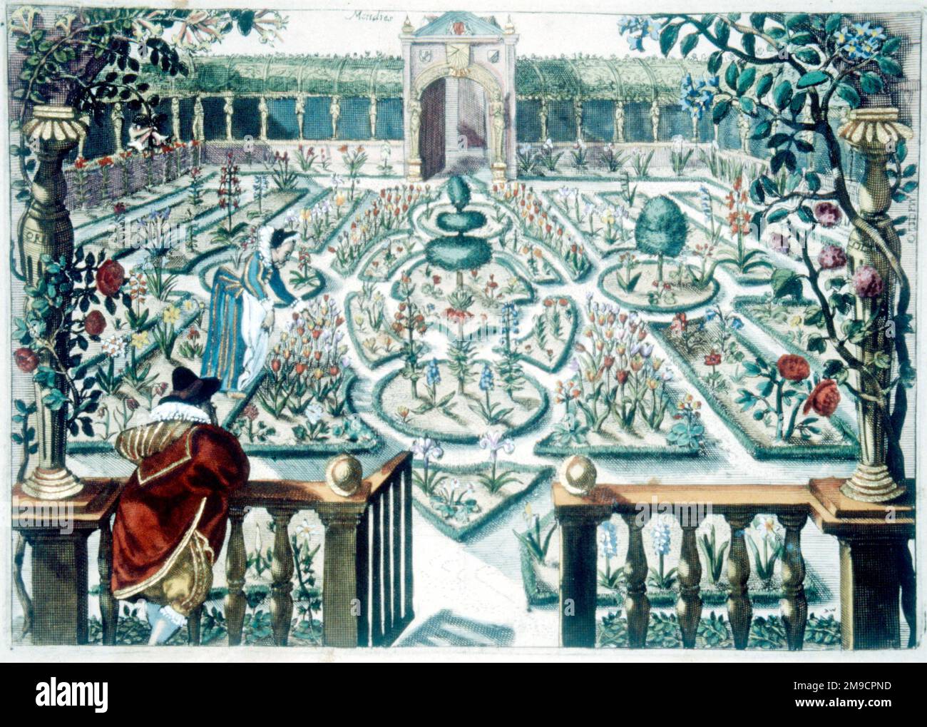 Hortus hi-res stock photography and images - Alamy