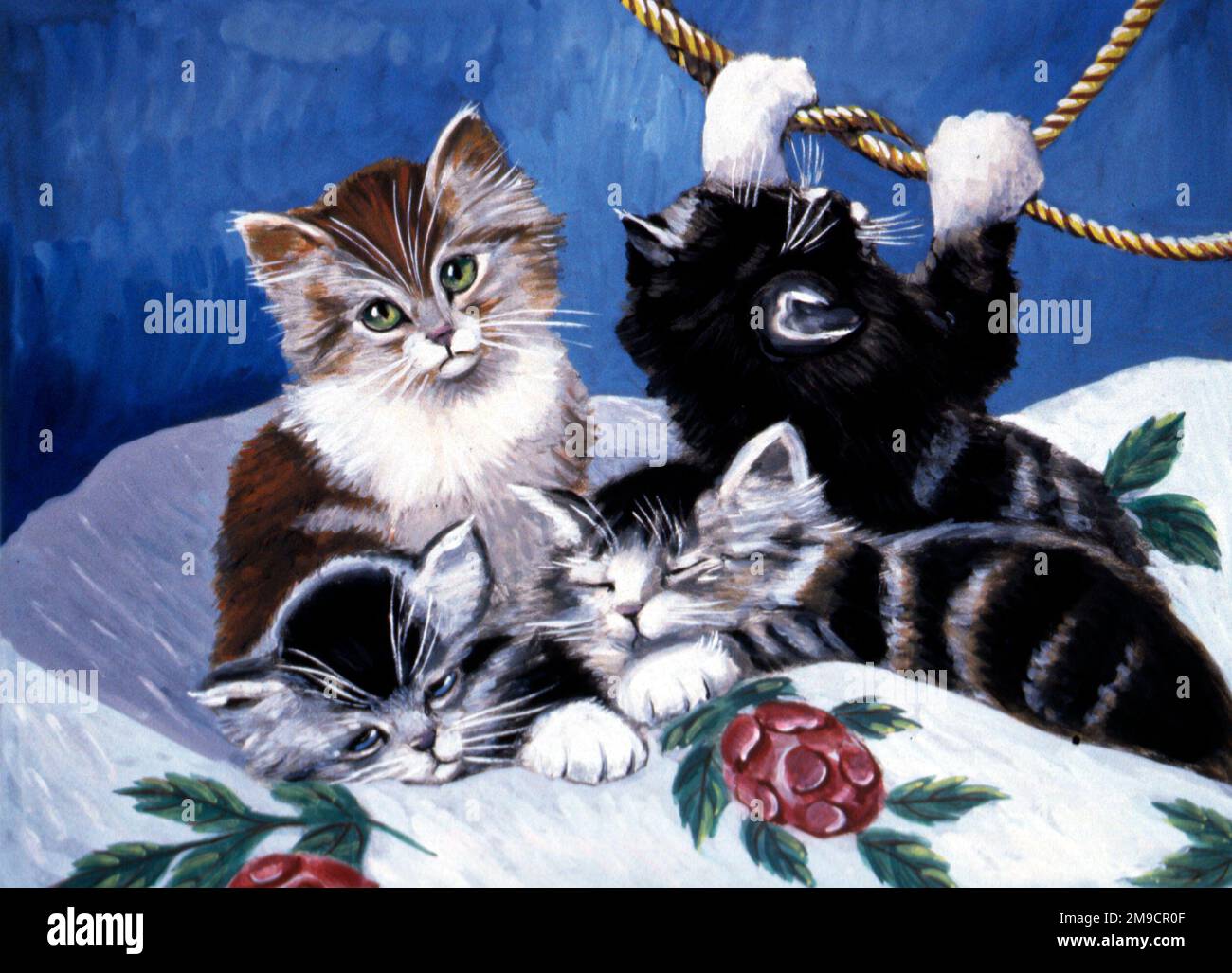 Cats playing with a Rope Stock Photo - Alamy