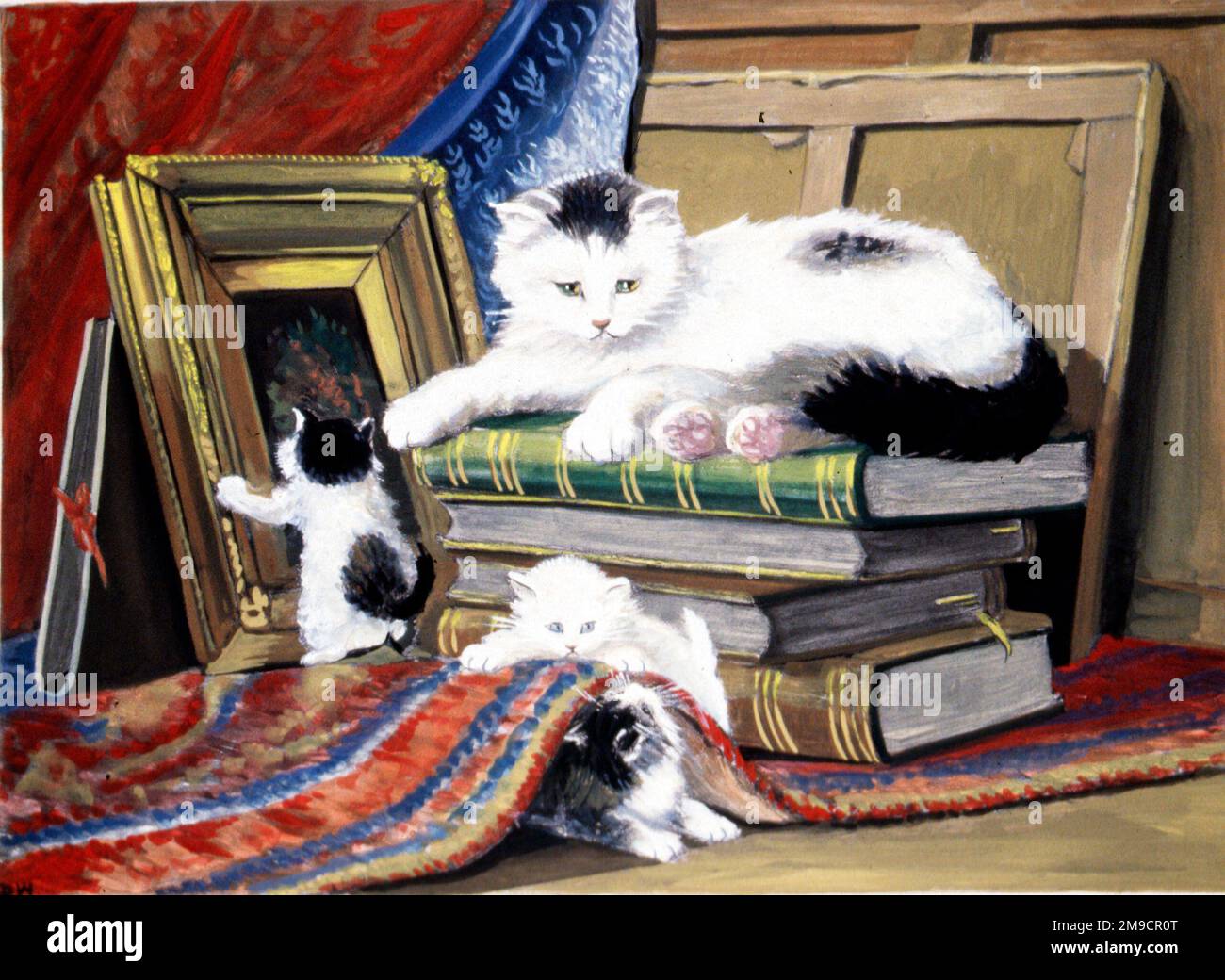Cats - Picture Frame - Books Stock Photo - Alamy