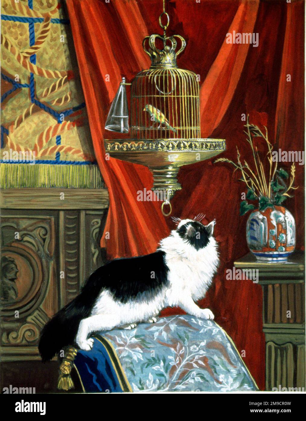 Cat and Caged Bird Stock Photo - Alamy