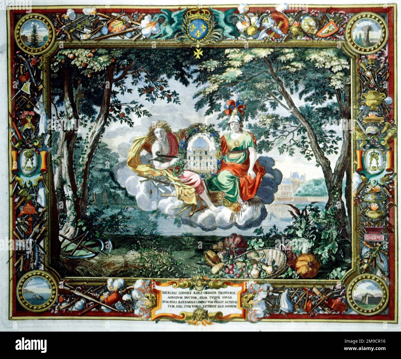 Lodoici hi-res stock photography and images - Alamy