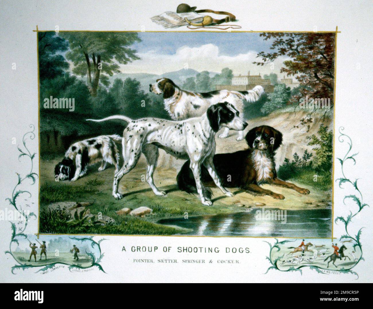 'The Book Of Field Sports' - A Group Of Shooting Dogs, Pointer, Setter ...