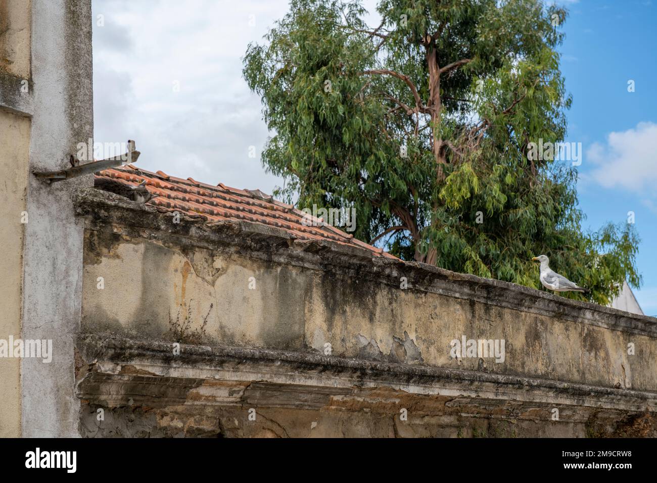 Sunrise over house roof hi-res stock photography and images - Alamy
