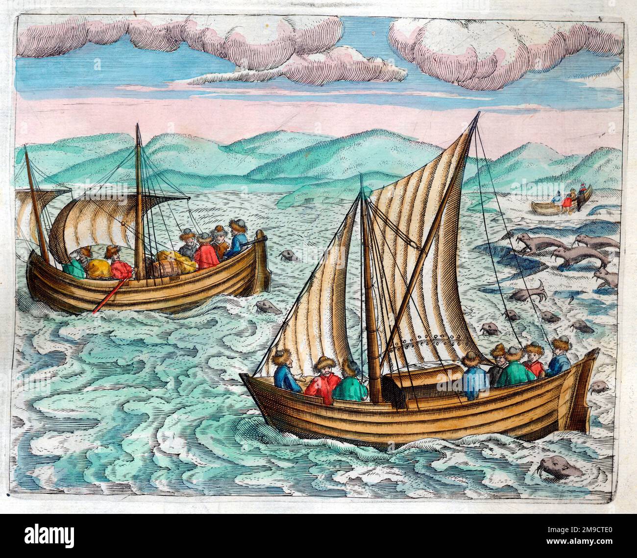 Hunting Walrus on the Barents Northeast passage expedition Stock Photo ...