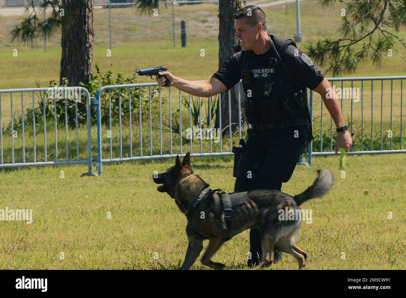 A military working dog (MWD) and their handler assigned to the Tampa ...