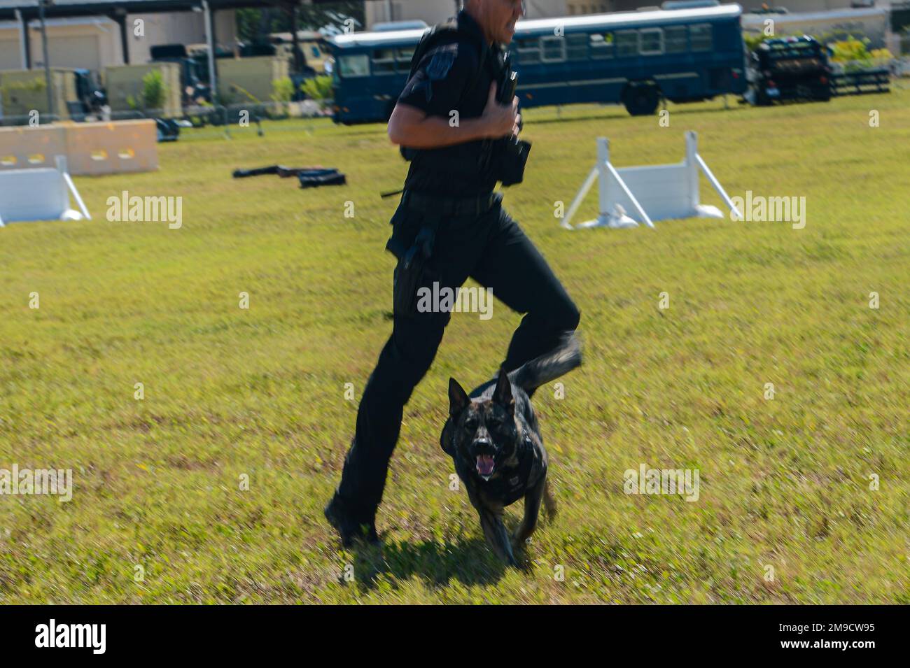 A military working dog (MWD) assigned to the Tampa Police Department ...