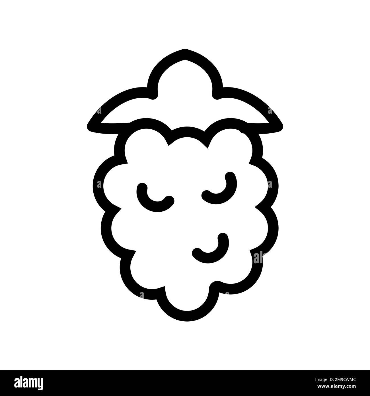 Raspberry line icon isolated on white background. Black flat thin icon ...