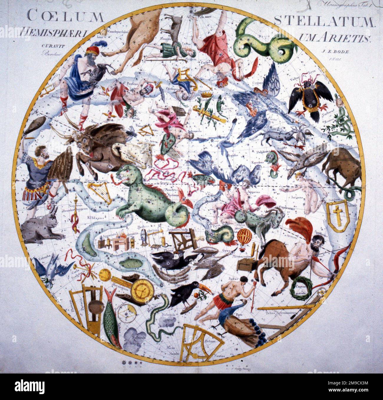 Celestial Hemisphere Map of Constellations - Coelum stellatum ...