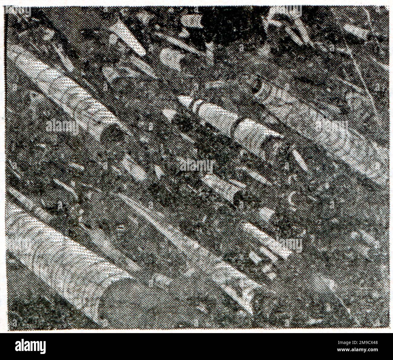 Orthoceras Limestone With Fossils In Section Stock Photo - Alamy