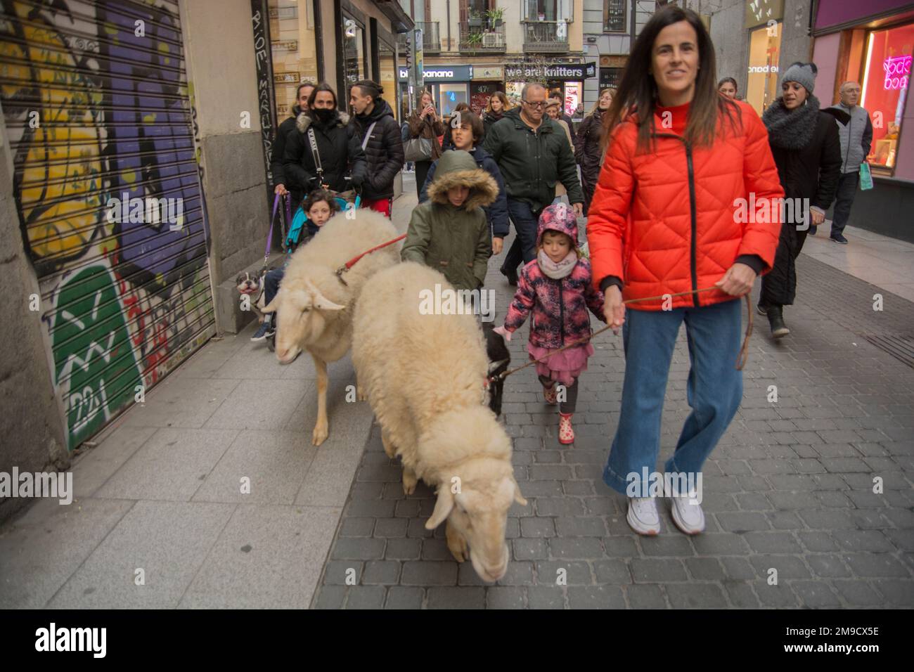 Priests at a church in Madrid blessed pets during a festival ...