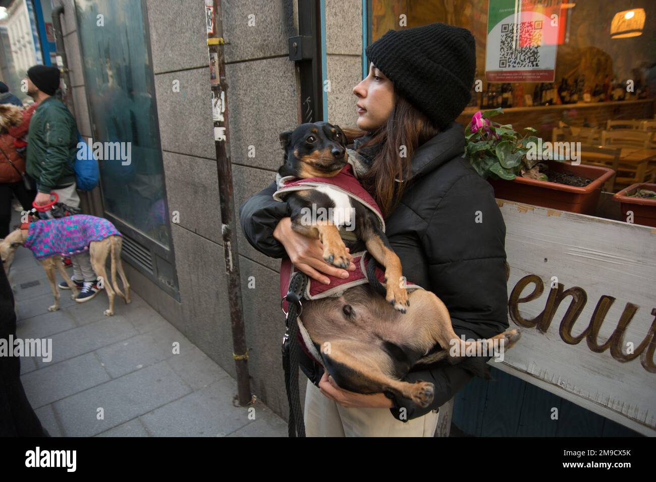 Priests at a church in Madrid blessed pets during a festival ...