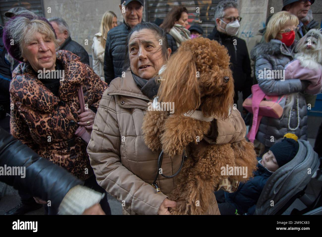 Priests at a church in Madrid blessed pets during a festival ...