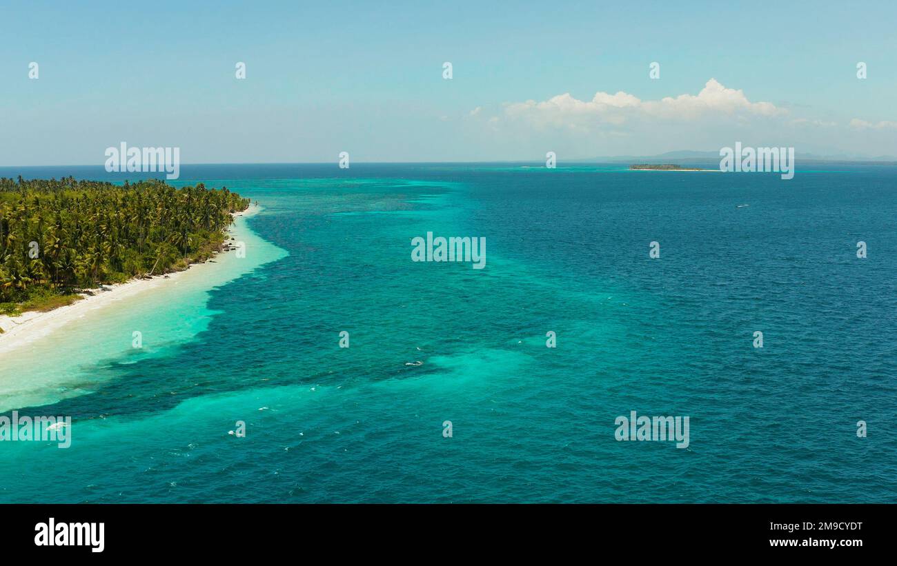 Sandy beach and tropical island by atoll with coral reef, top view ...