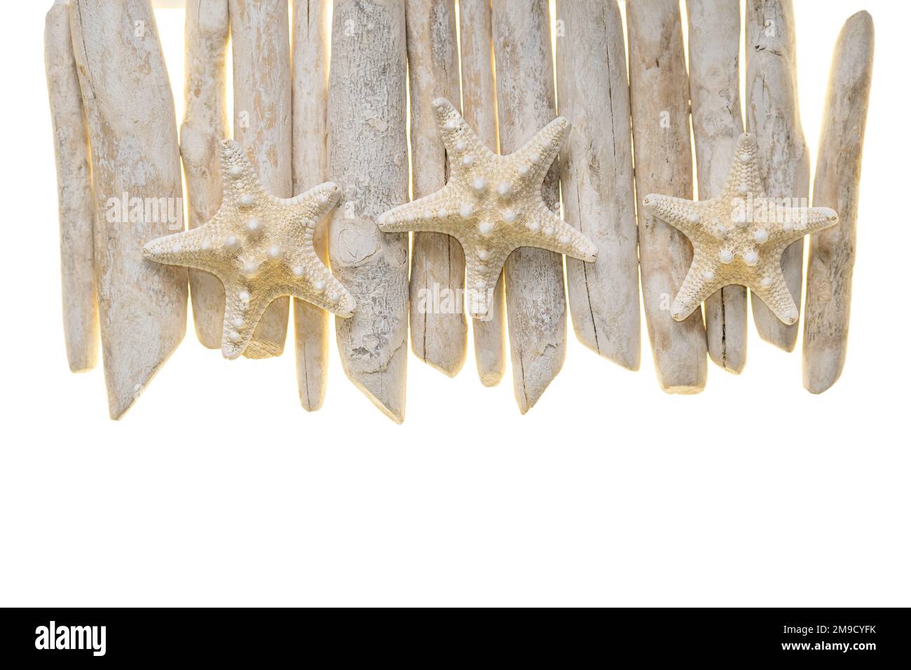 Starfish and sea shells on driftwood sticks isolated on white ...