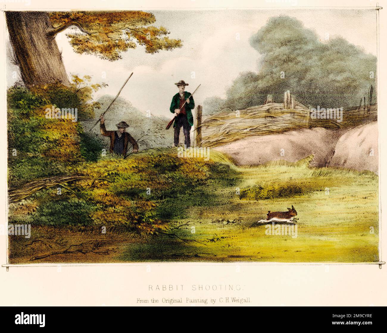 Rabbit shooting hi-res stock photography and images - Alamy