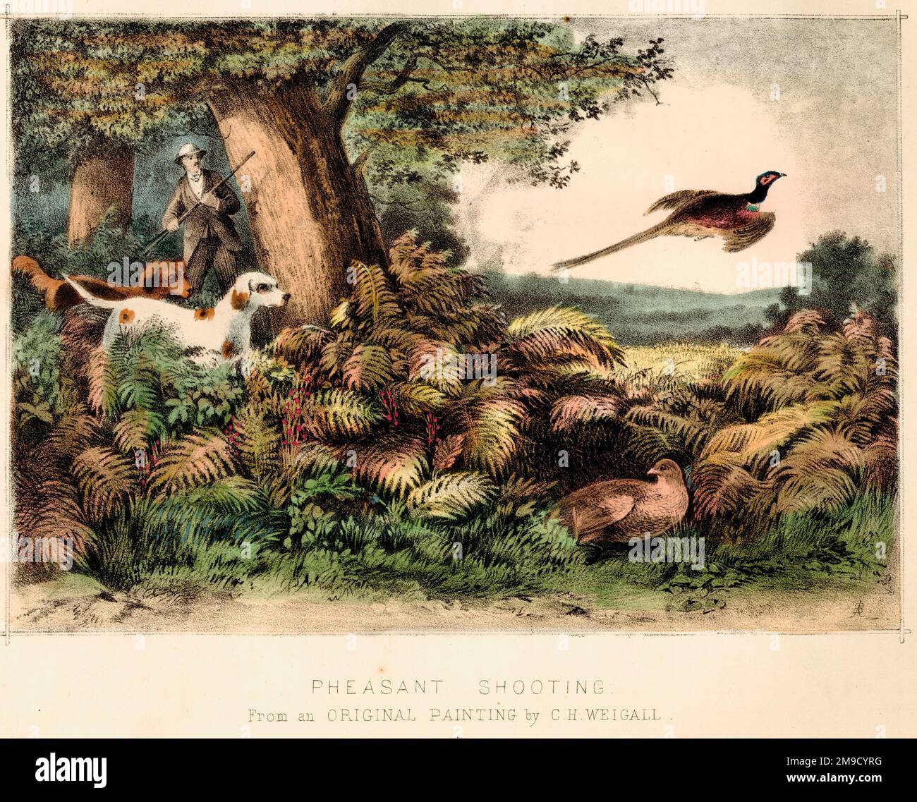 Shooting history hi-res stock photography and images - Alamy