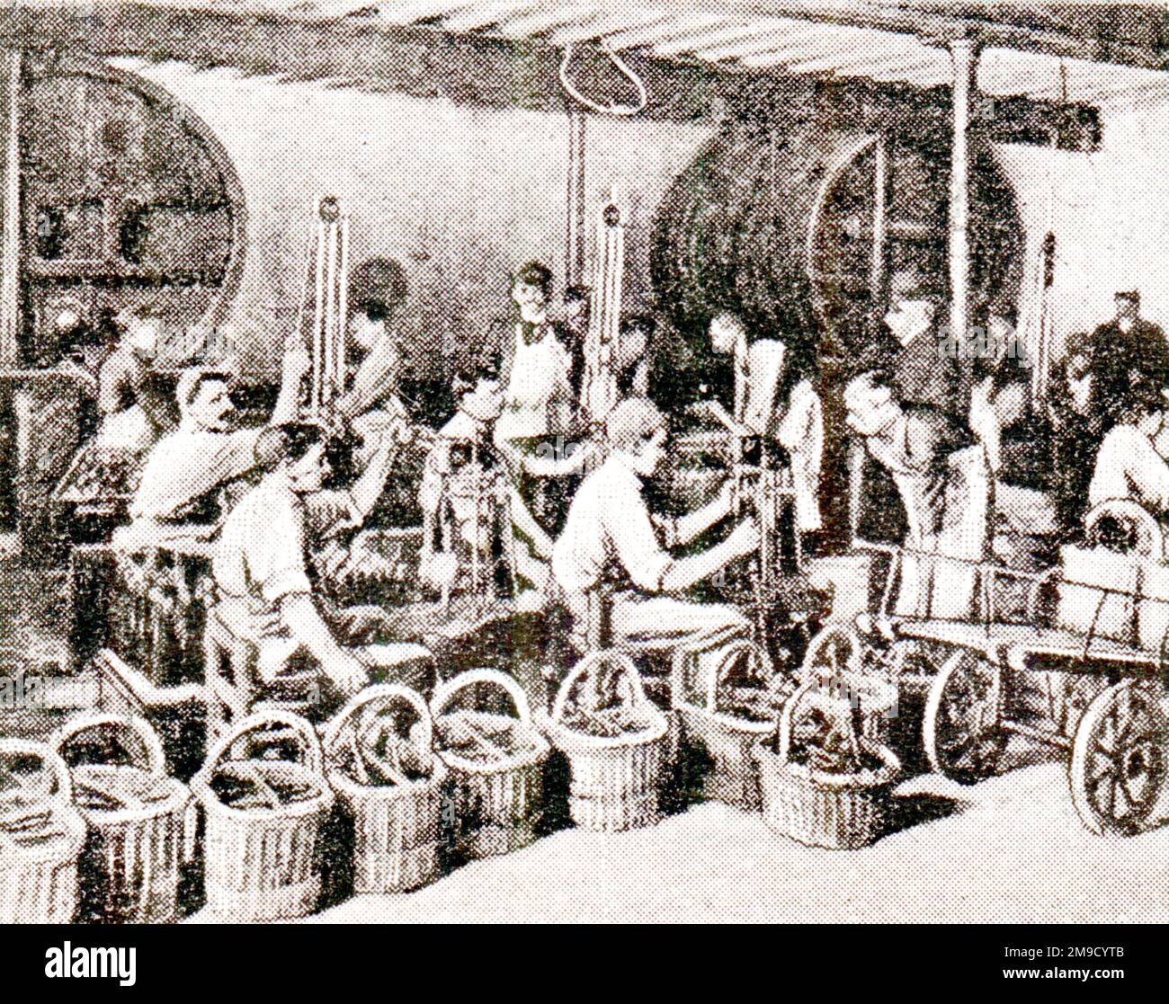 Corking hi-res stock photography and images - Alamy