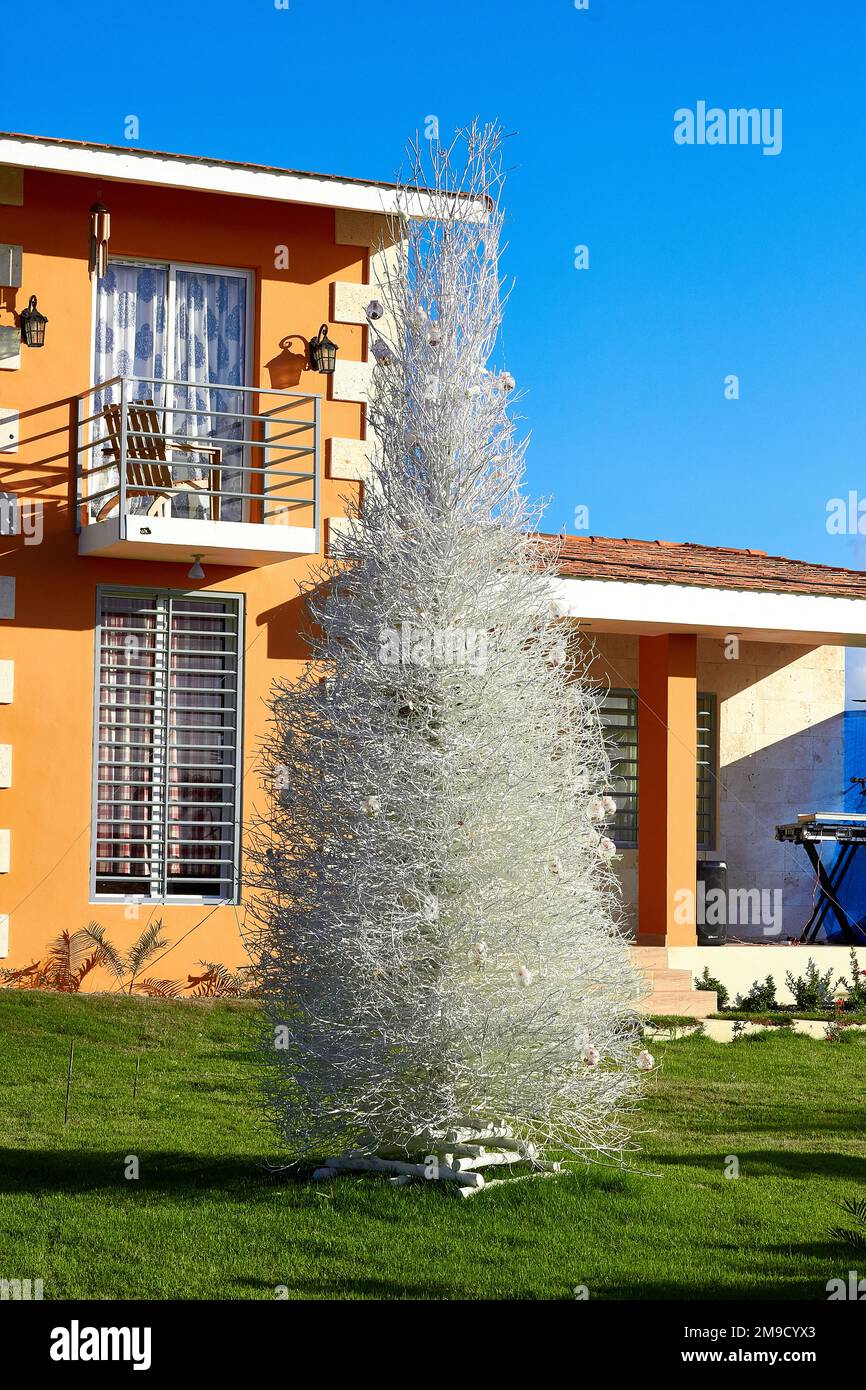 Crismas tree hi-res stock photography and images - Alamy