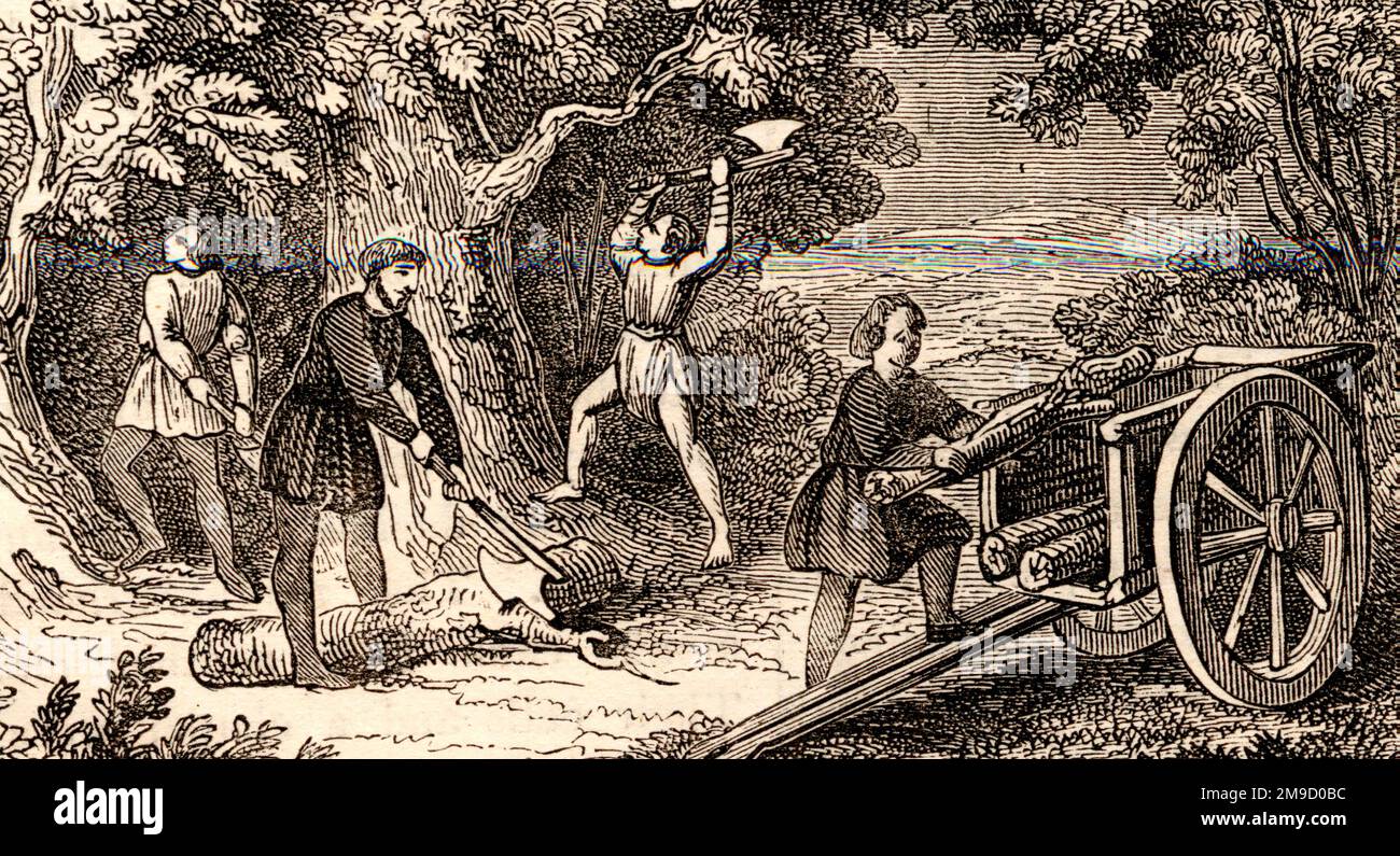 Woodcutters hi-res stock photography and images - Alamy