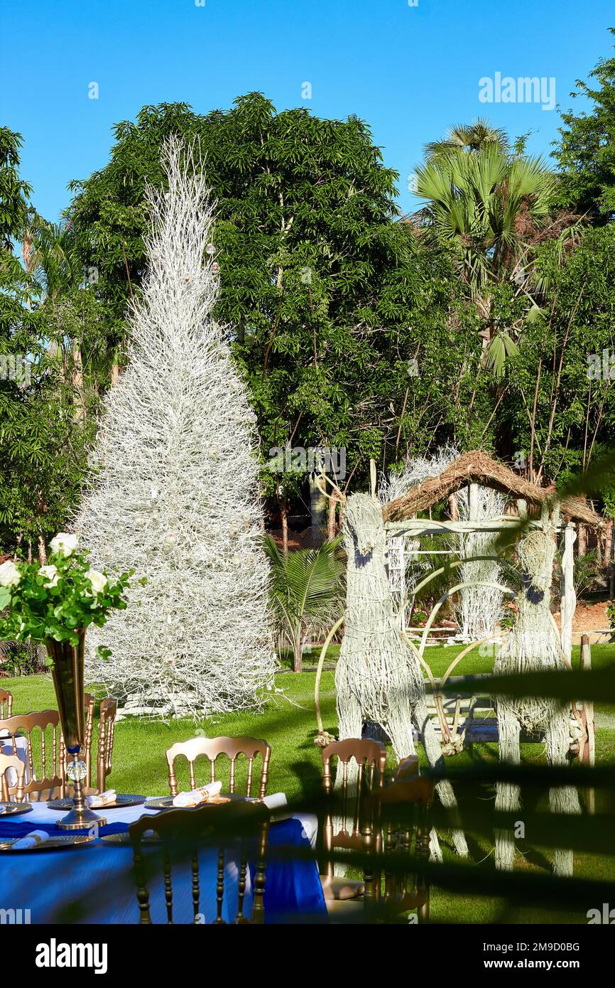 Crismas tree hi-res stock photography and images - Alamy