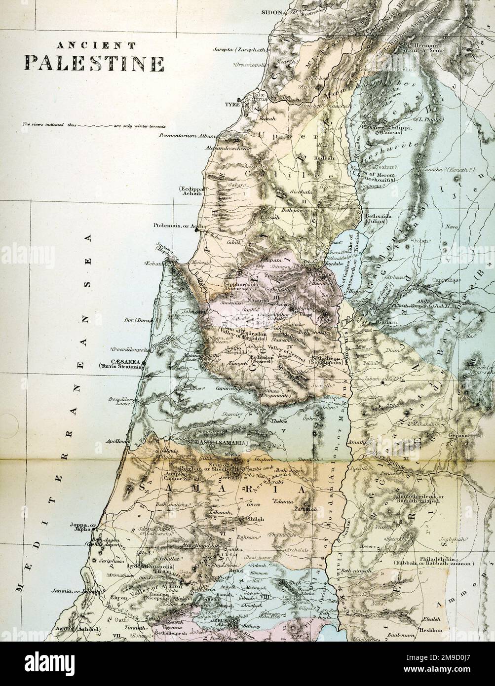 History of palestine hi-res stock photography and images - Alamy