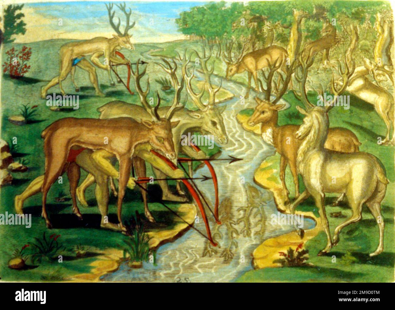 Native American Men Hunting Deer