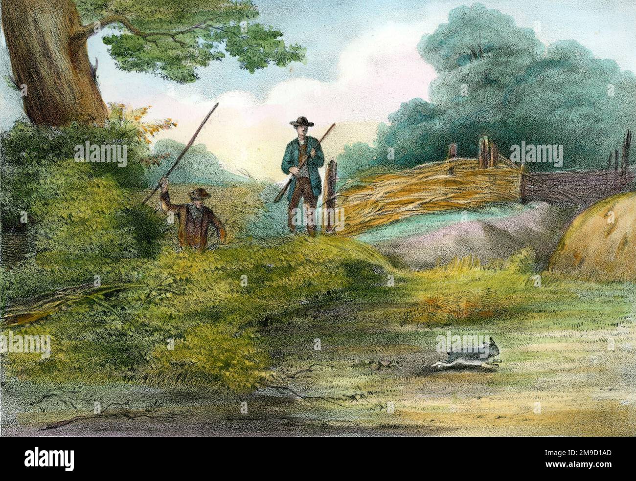 Dogs - Rabbit Shooting Stock Photo - Alamy