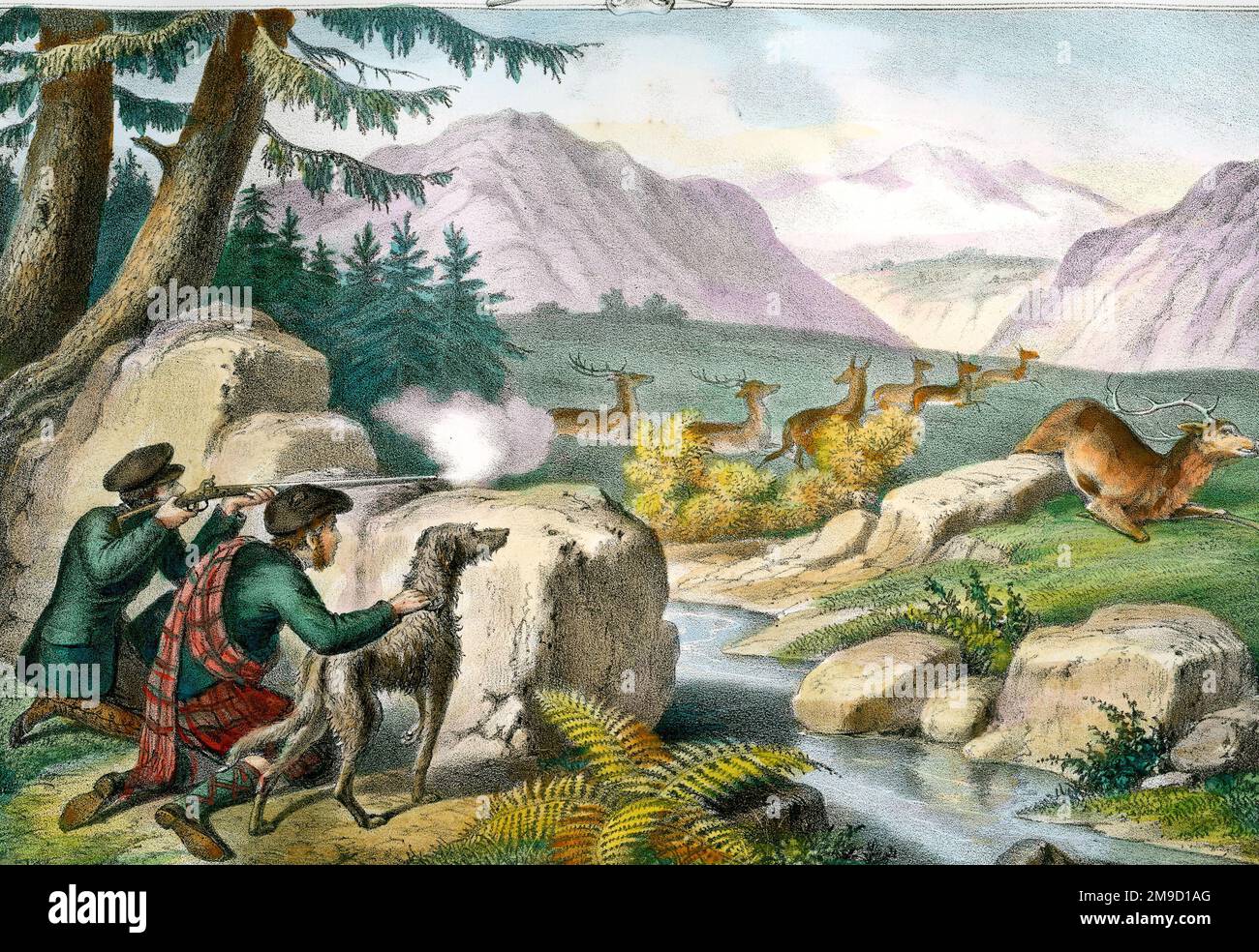 Dogs - Deer Stalking - Glenartney Stock Photo - Alamy