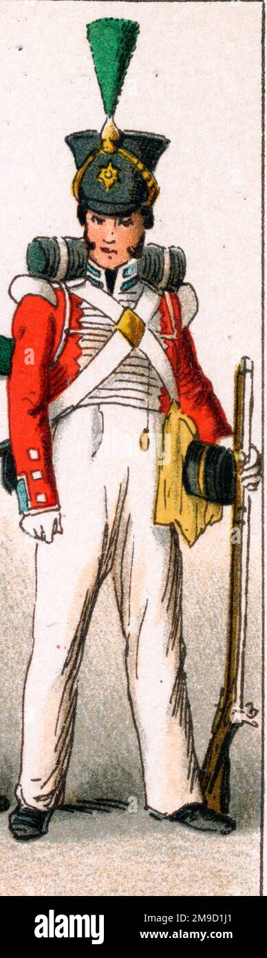 British Foot Soldier - Napoleonic Period - Rifleman Stock Photo - Alamy
