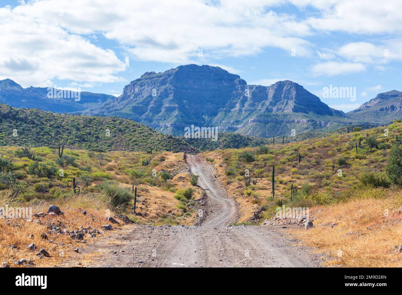 Beautiful natural landscapes in Baja California, Mexico Stock Photo - Alamy