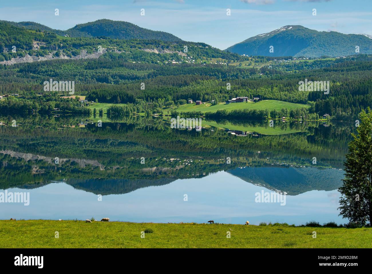 Lake Reflections near Voss, Norway Stock Photo - Alamy