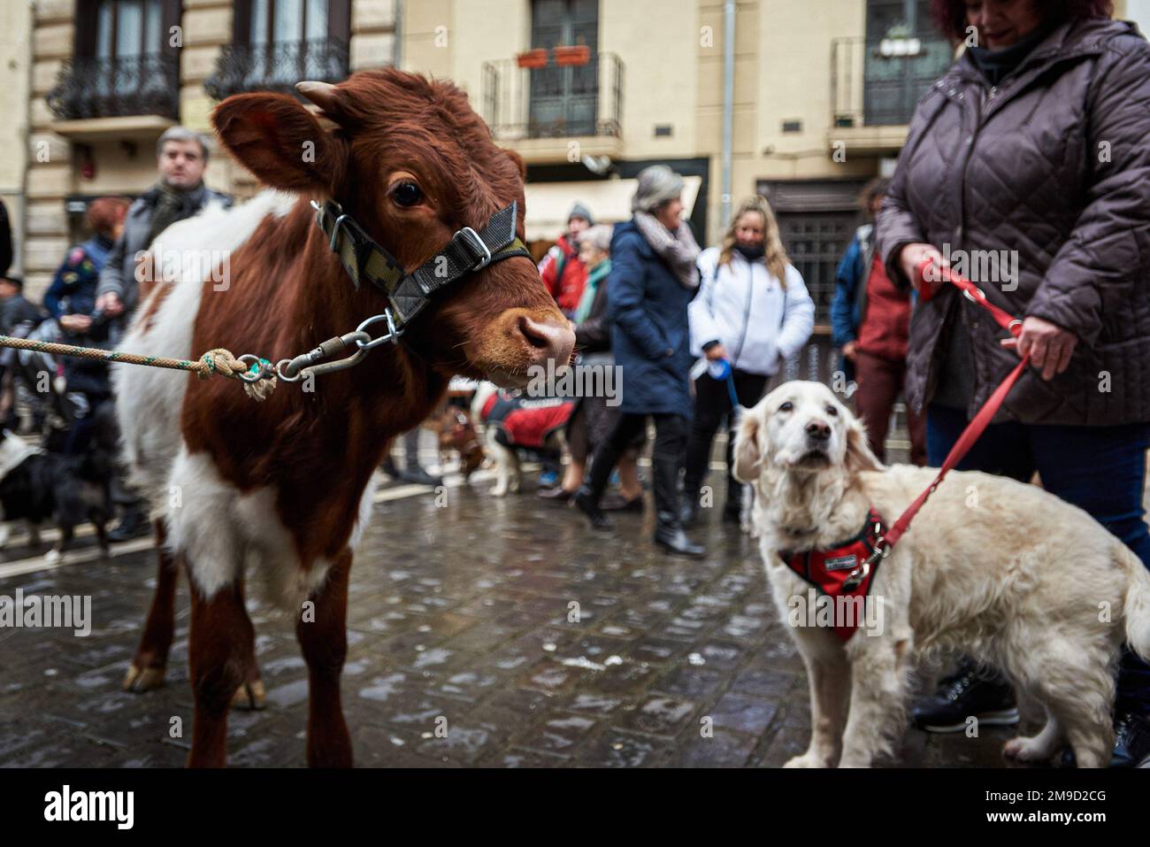 Saint anton abbot hi-res stock photography and images - Alamy