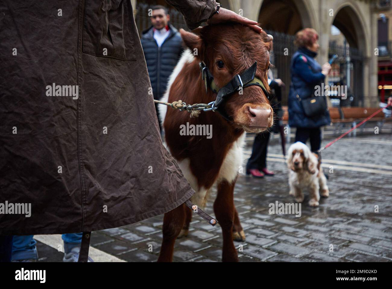Saint anton abbot hi-res stock photography and images - Alamy