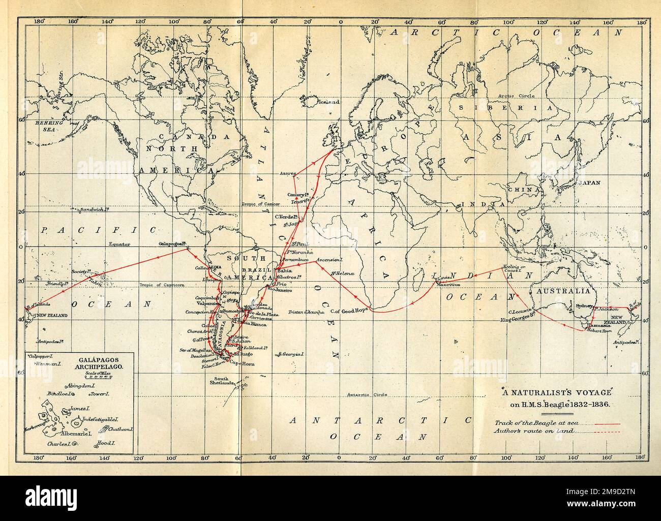 Young Charles Darwin And The Voyage Of The Beagle