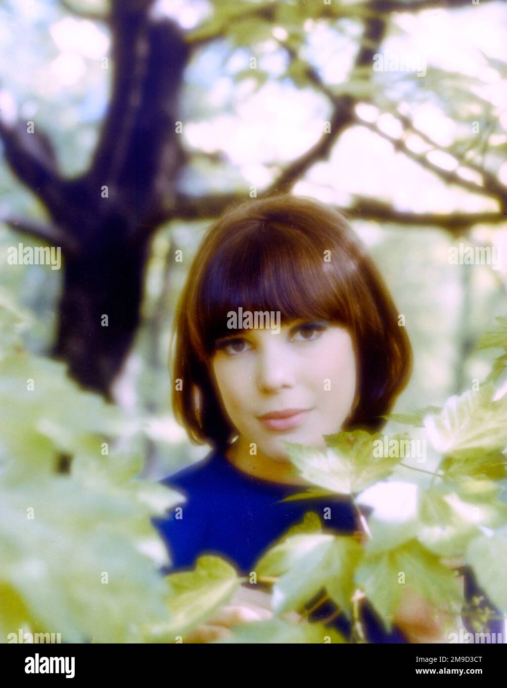 A young model 70s hi-res stock photography and images - Alamy