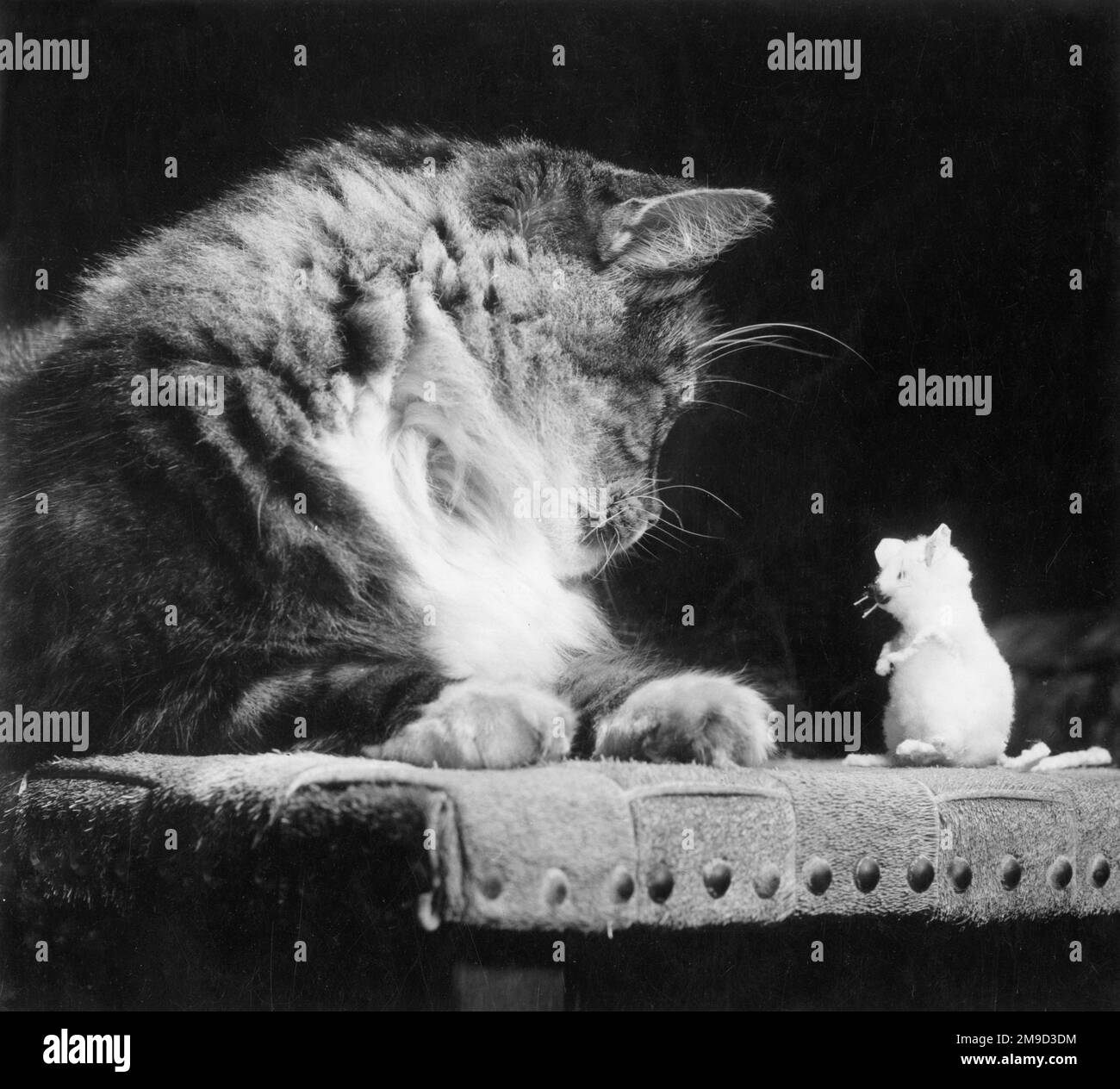 Mouse toy Black and White Stock Photos & Images - Alamy