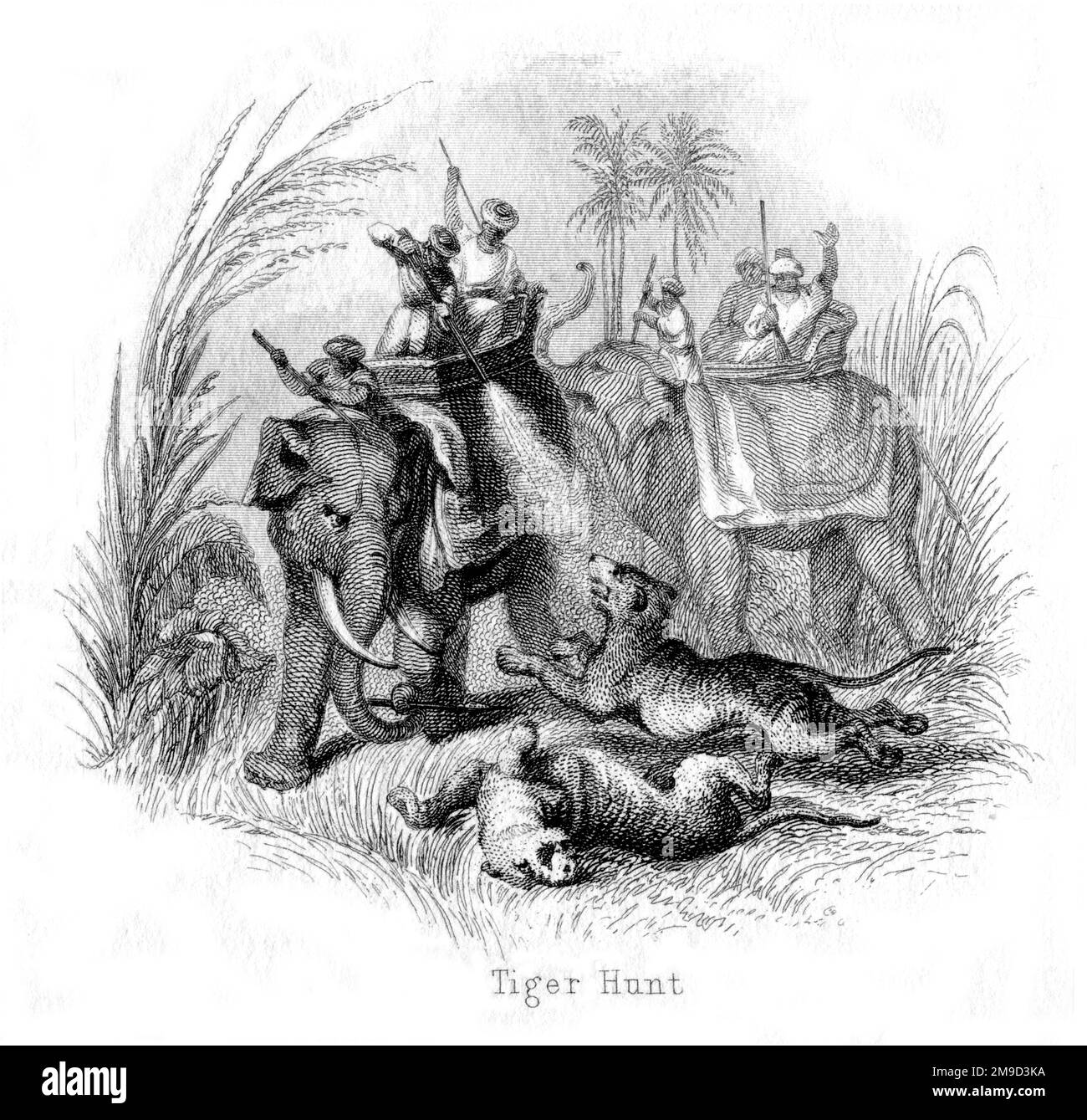 Hunt e Cut Out Stock Images & Pictures - Alamy