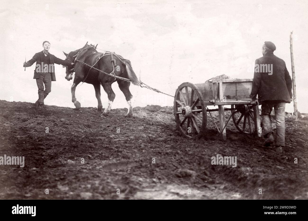 Track Construction 5 - Carting the sand 1906 Stock Photo - Alamy