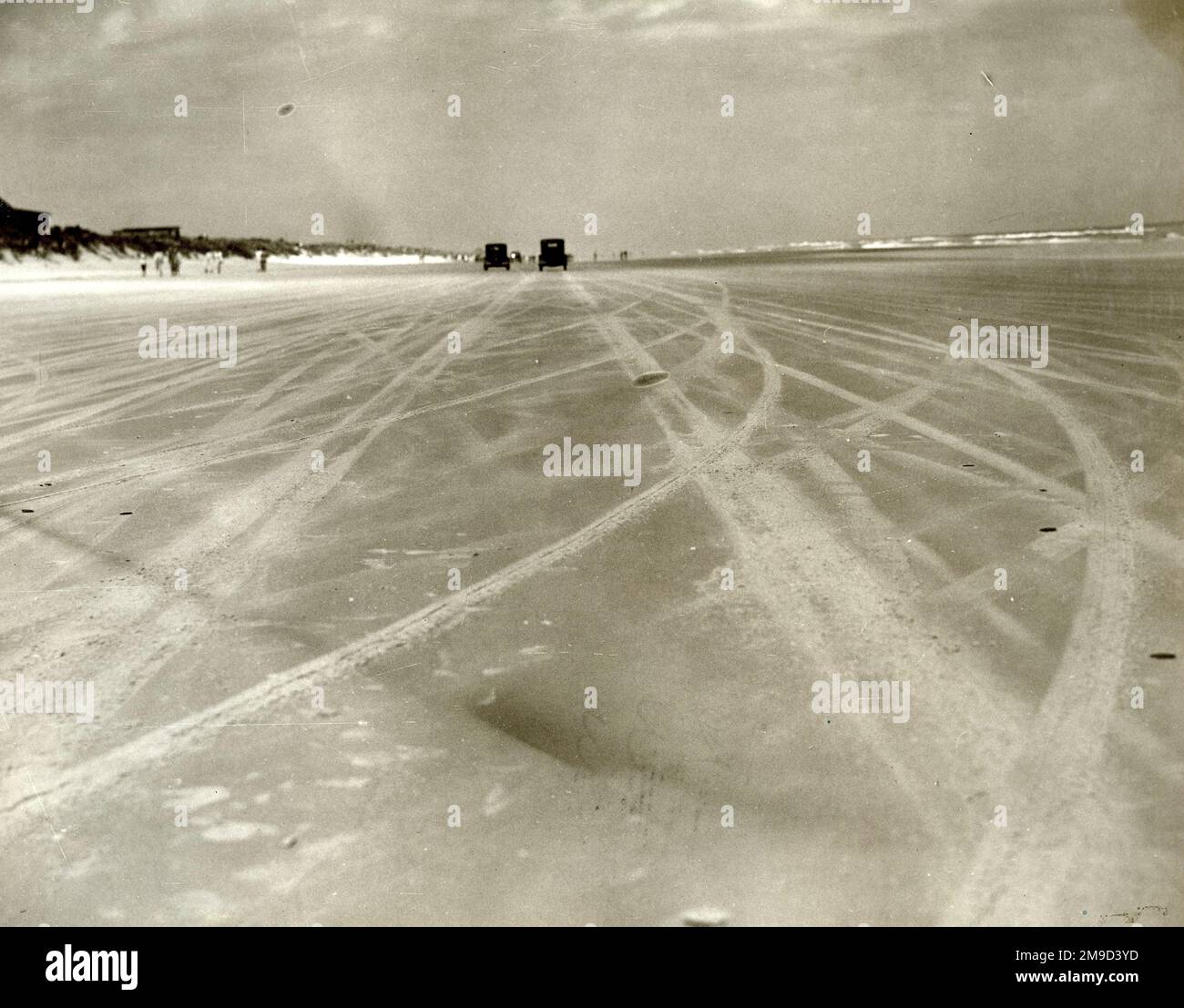 Speed bird hi-res stock photography and images - Alamy