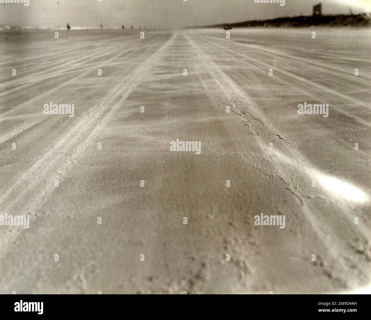 Speed bird hi-res stock photography and images - Alamy