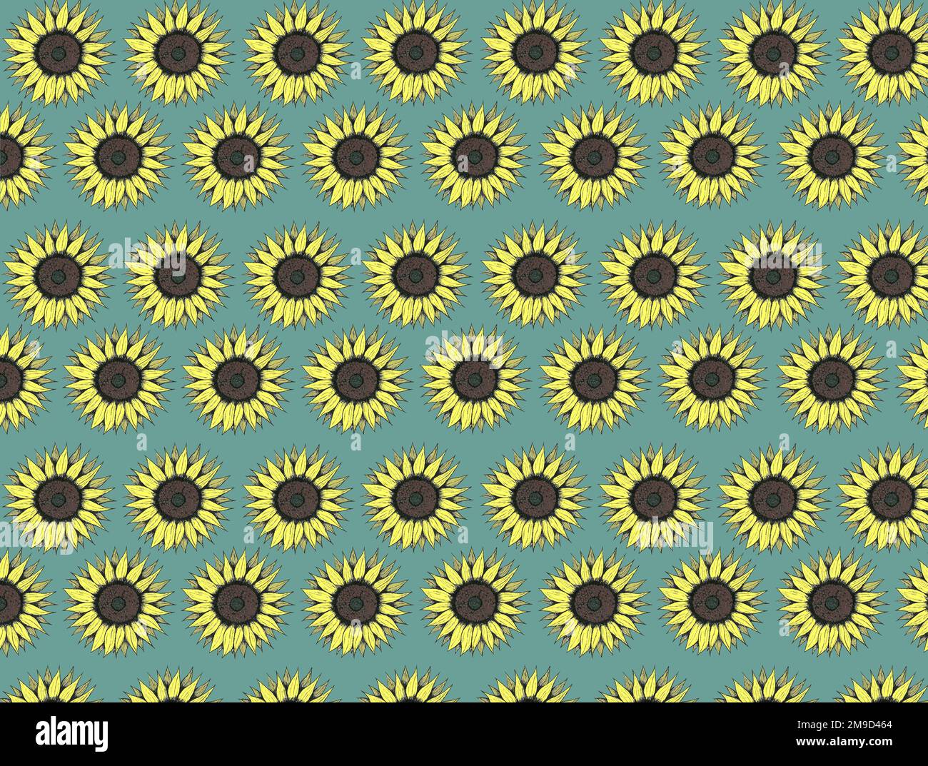 Sunflowers repeating pattern Stock Photo - Alamy