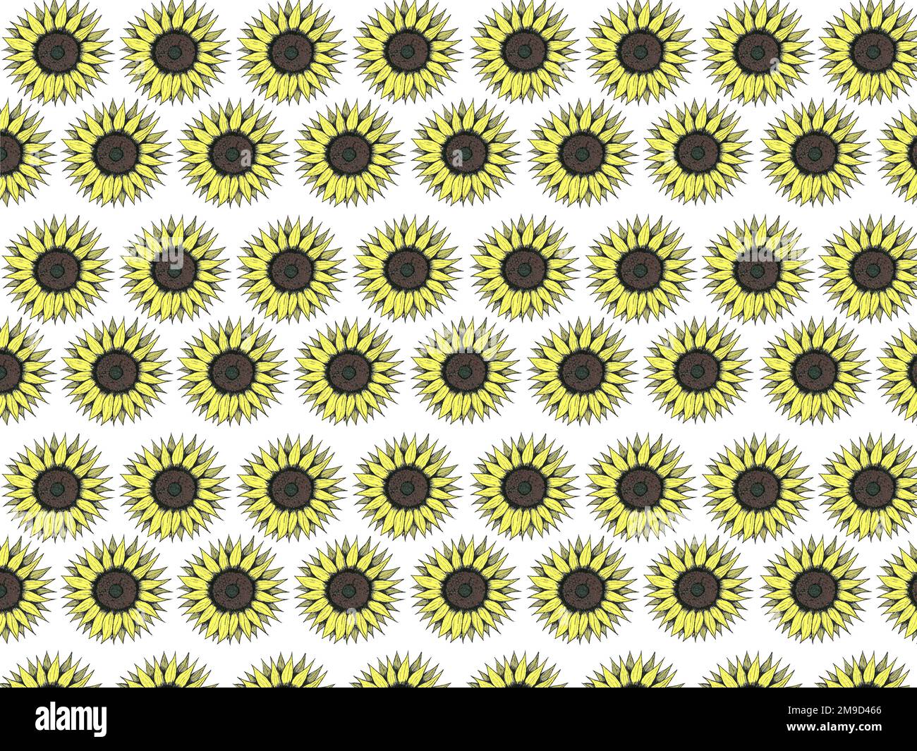 Sunflowers repeating pattern Stock Photo - Alamy