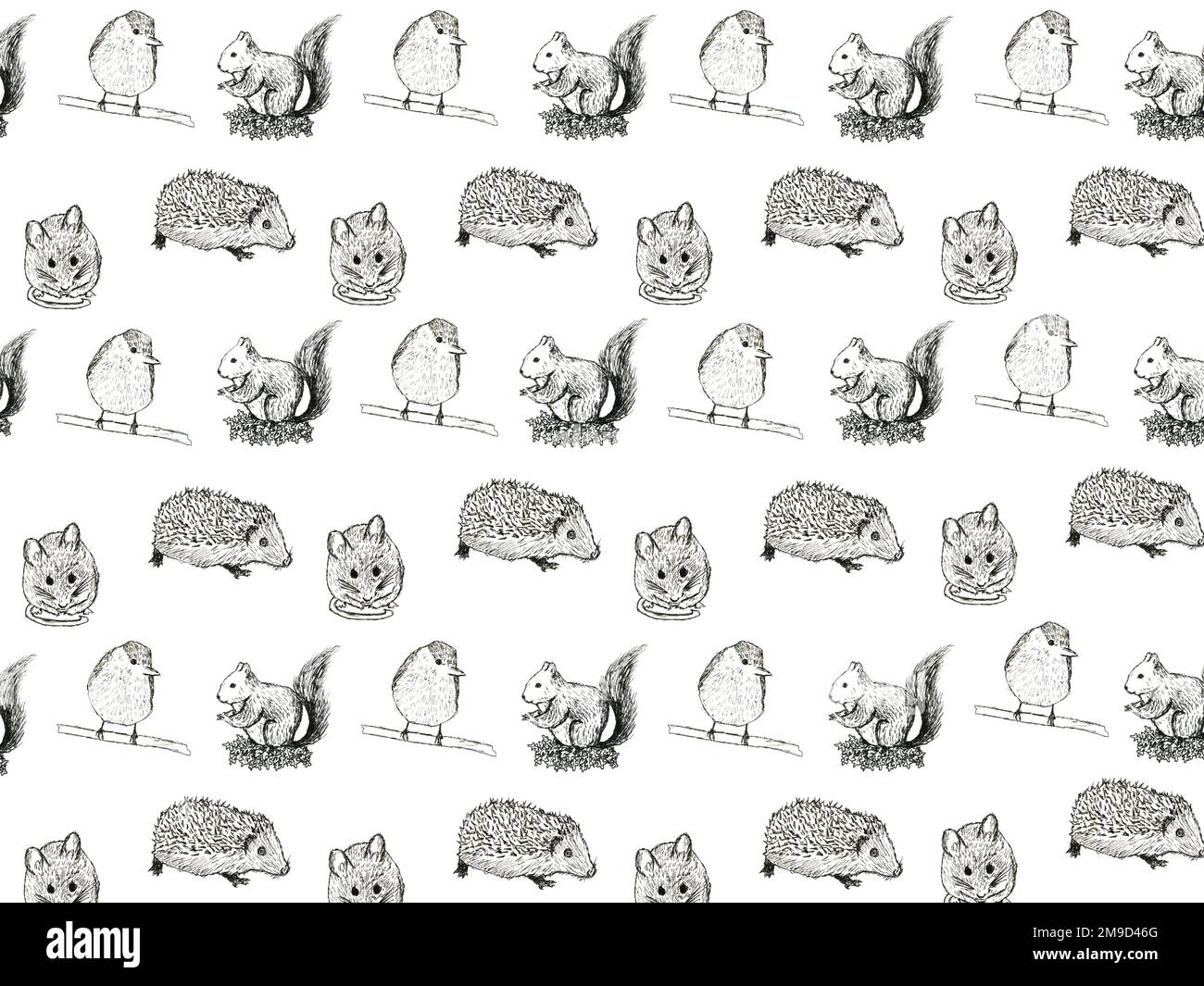 Creatures of the forest Cut Out Stock Images & Pictures - Alamy