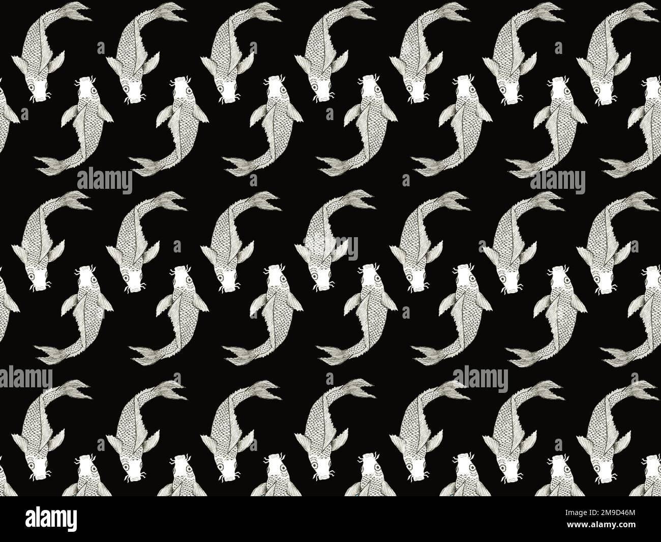 Koi nishikigoi hi-res stock photography and images - Alamy