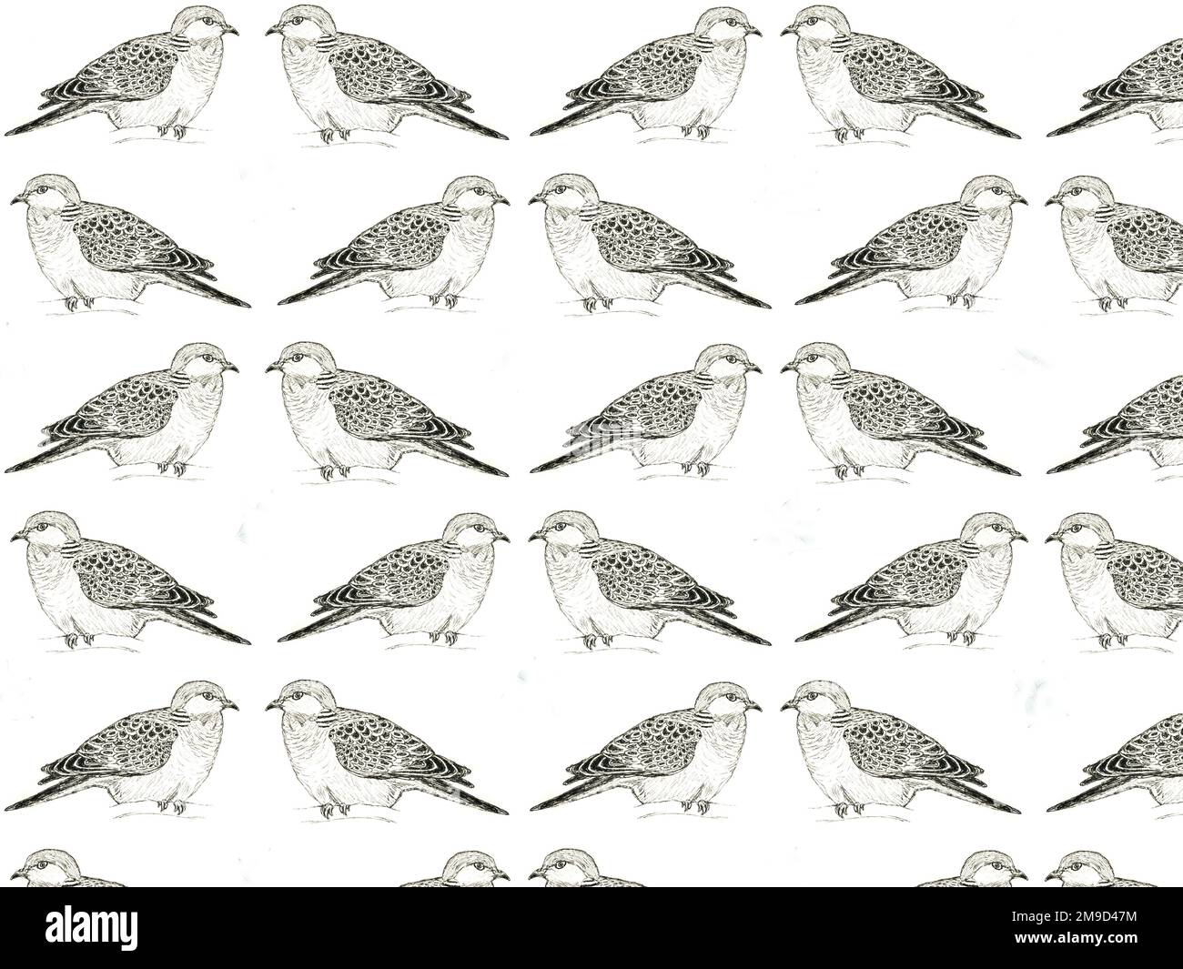 Dove pattern hi-res stock photography and images - Alamy