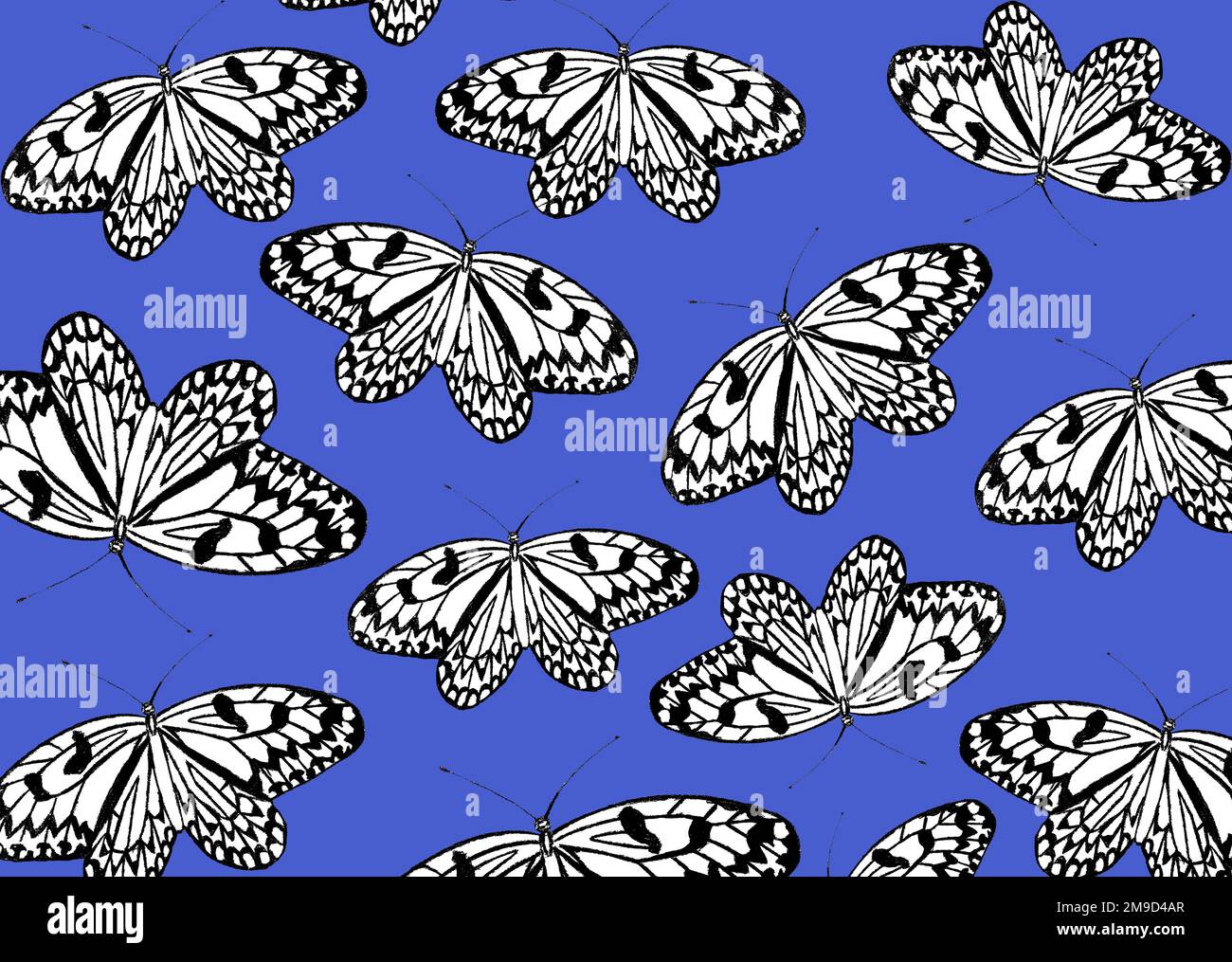 Butterfly surface hi-res stock photography and images - Alamy