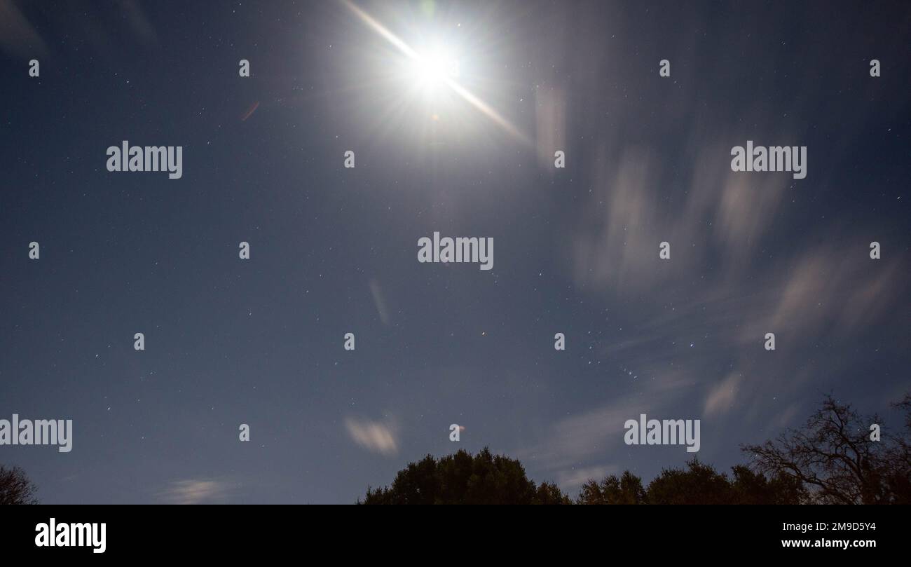The night sky with a treeline below Stock Photo - Alamy