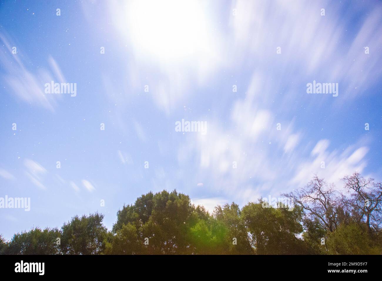 Exposed plants hi-res stock photography and images - Alamy